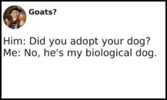 36+ Times People Said Hilariously Weird Phrases