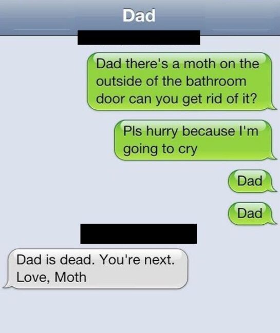 40+ Funny Texts That Made Us Laugh Harder Than They Should