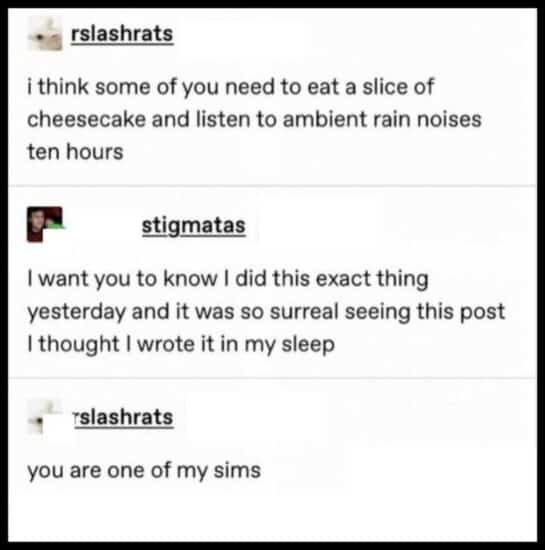 36+ Times People Said Hilariously Weird Phrases