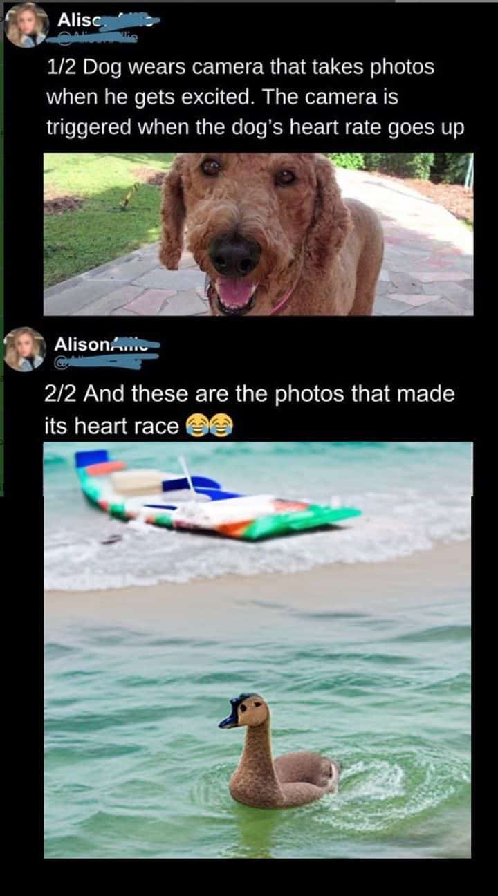 40+ Heartwarming Posts That Make Us Smile