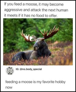 40+ Cursed Comments That Have Us Questioning Everything