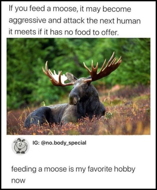 40+ Cursed Comments That Have Us Questioning Everything