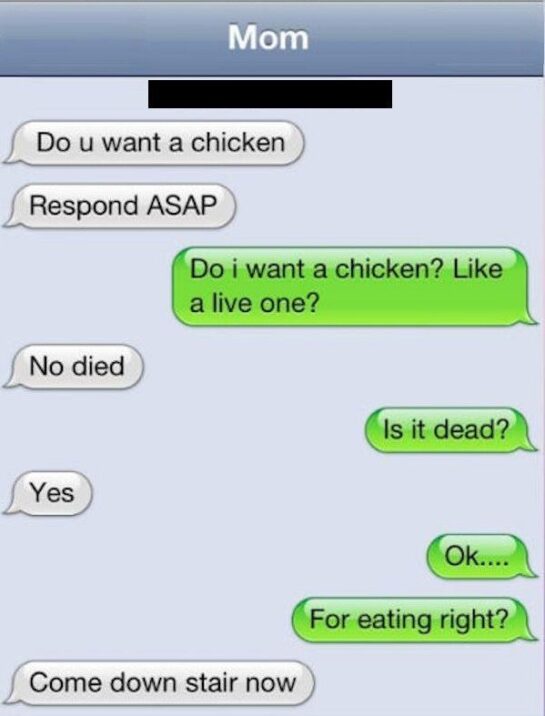 40+ Funny Texts That Made Us Laugh Harder Than They Should
