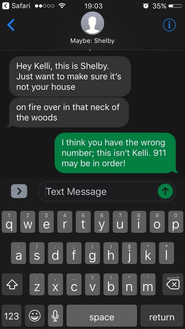 Wrong Number Texts