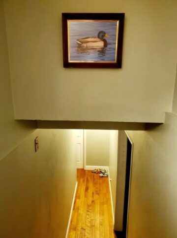 40+ Funny Posts That Make Our Day Brighter