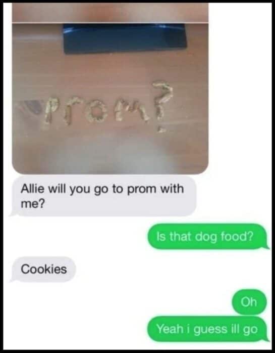 40+ Funny Texts That Made Us Laugh Harder Than They Should