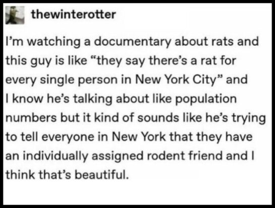 36+ Times People Said Hilariously Weird Phrases