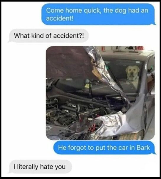 40+ Funny Texts That Made Us Laugh Harder Than They Should