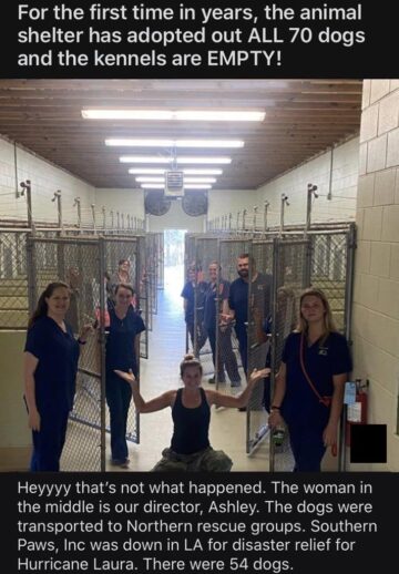 25+ Internet Liars Who Wish They Could Take It All Back