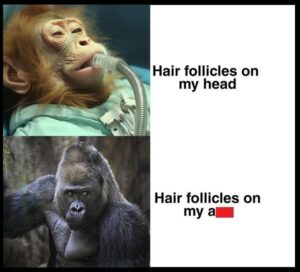 40+ Relatable Posts That Made Us Laugh Out Loud