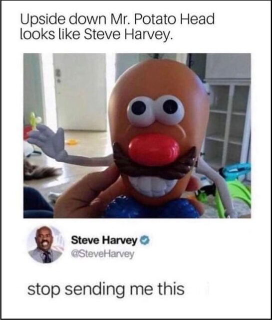 36+ Hilarious Tweets For People With An Unusual Sense of Humor