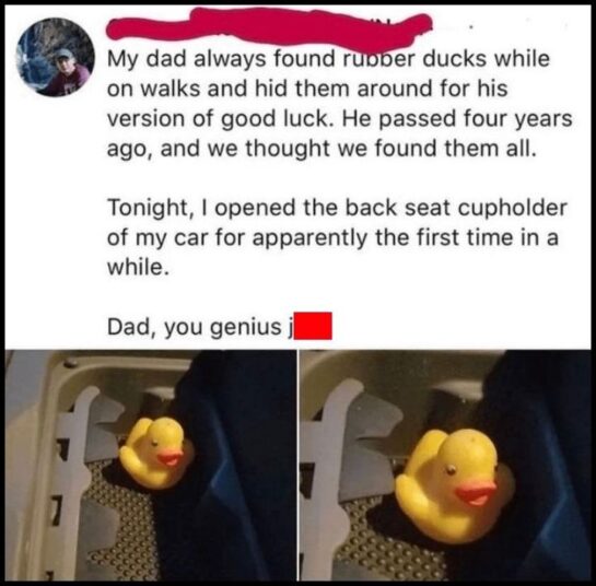 Hilarious Posts of Sigma Males