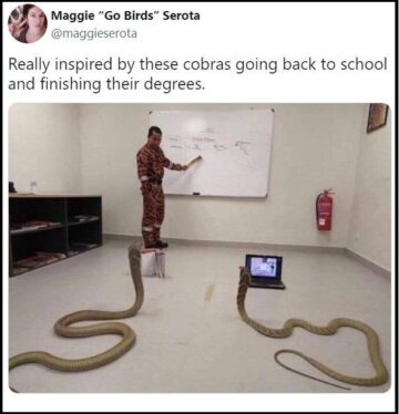 Hilarious Tweets