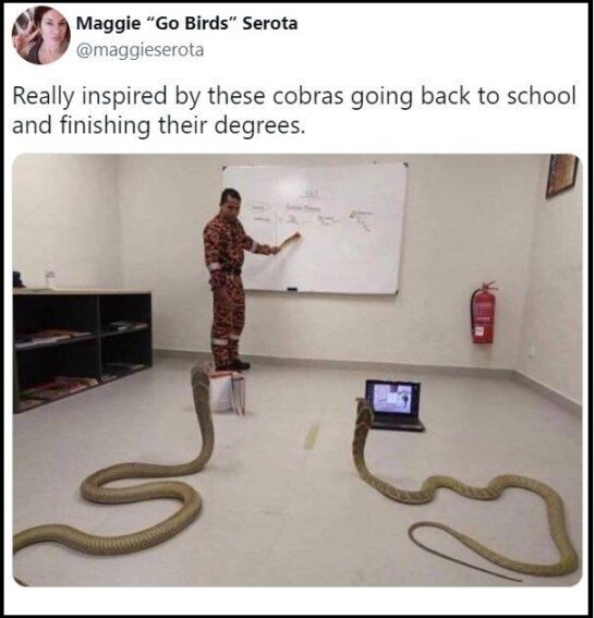 36+ Hilarious Tweets For People With An Unusual Sense of Humor