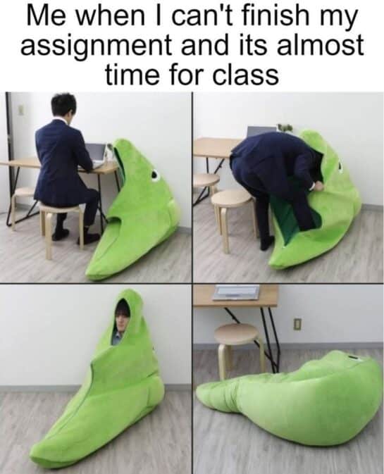 25+ Genuinely Funny Pictures That Made Us Smile