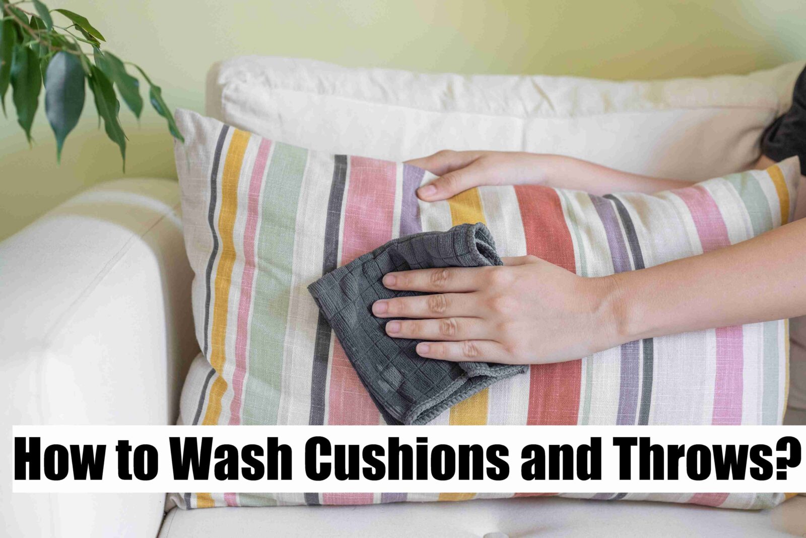 Hidden Places that Dust Mites are Breeding in your Home