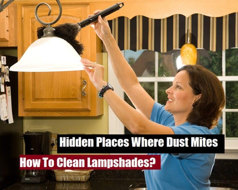 Hidden Places that Dust Mites are Breeding in your Home