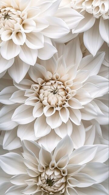 Nature's Beauty, Paper's Touch: Crafting Realistic Paper Flowers
