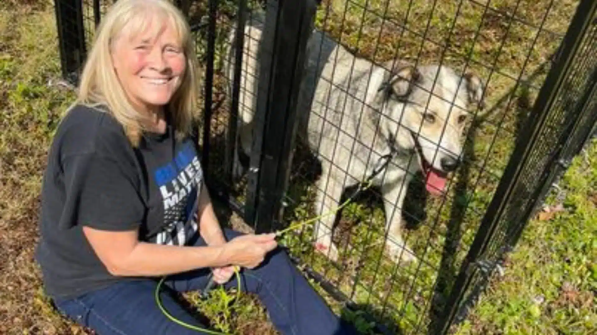 Couple spent over a year gaining missing dog’s trust — now they’ve ...